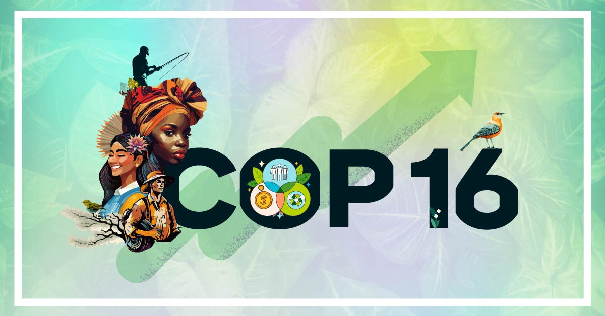 COP-16: una oportunidad para los emprendimientos sostenibles ...